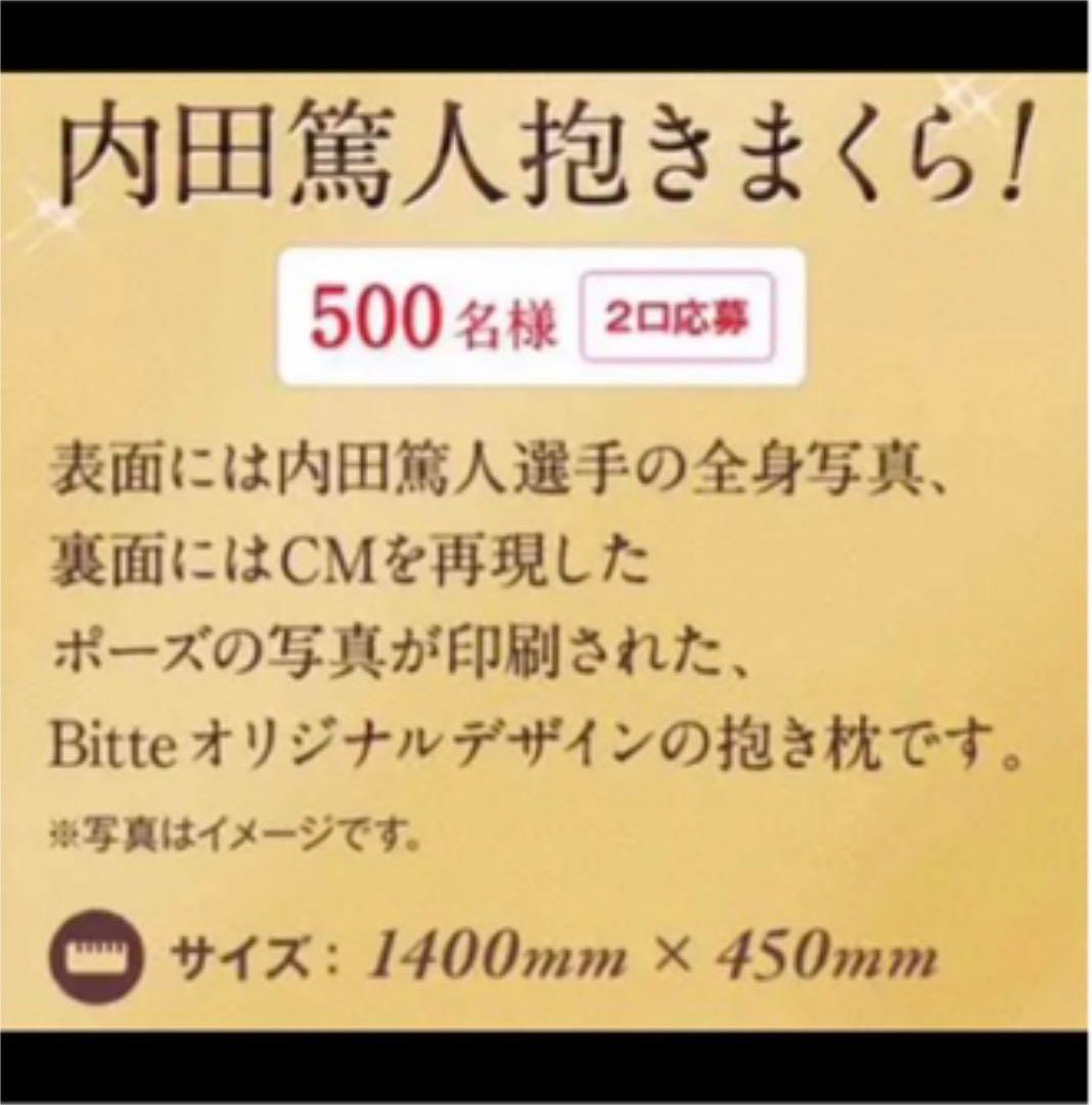 内田篤人 抱きまくら Bitte★うっちー 抱き枕 クッション
