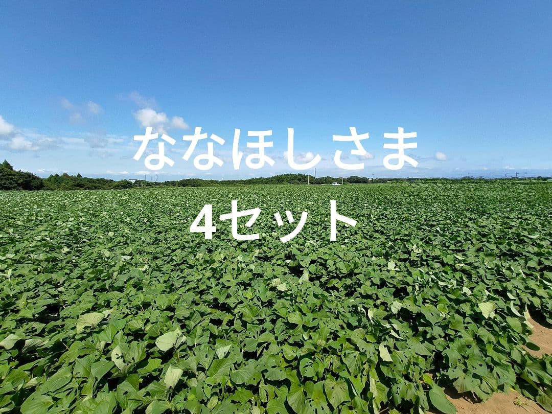 ★2.ななほしさま専用干し芋 国産 紅はるか 切り落とし800g×4セット