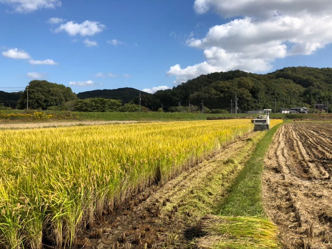 農家直送の美味しいお米 令和7年度産 ヒノヒカリ 15キロ