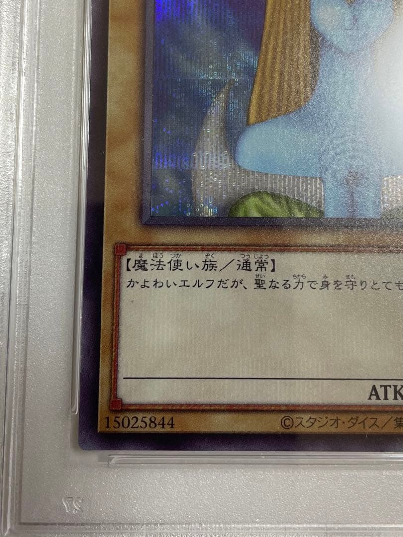【PSA10】ホーリーエルフ ブルシク ブルーシークレット BGS ARS