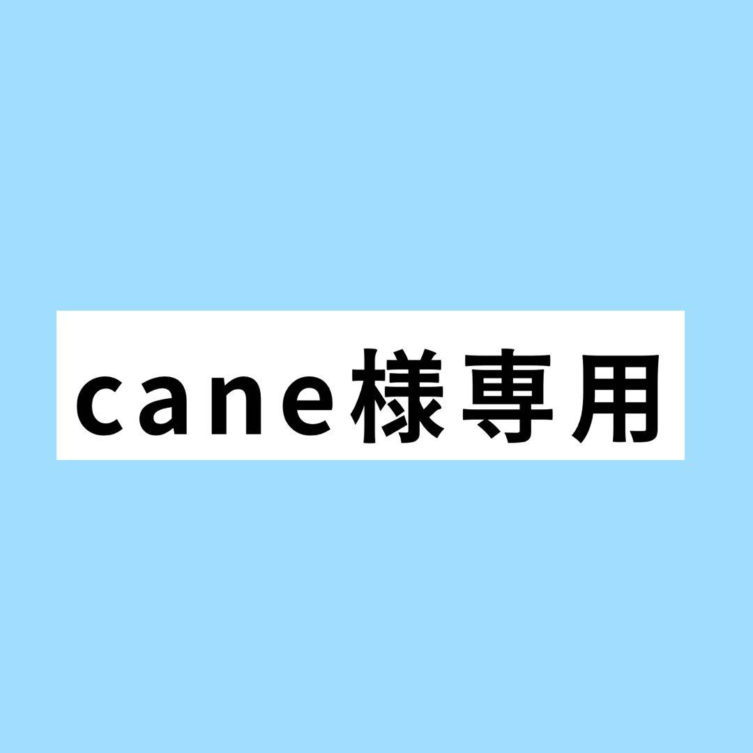 その他 cane