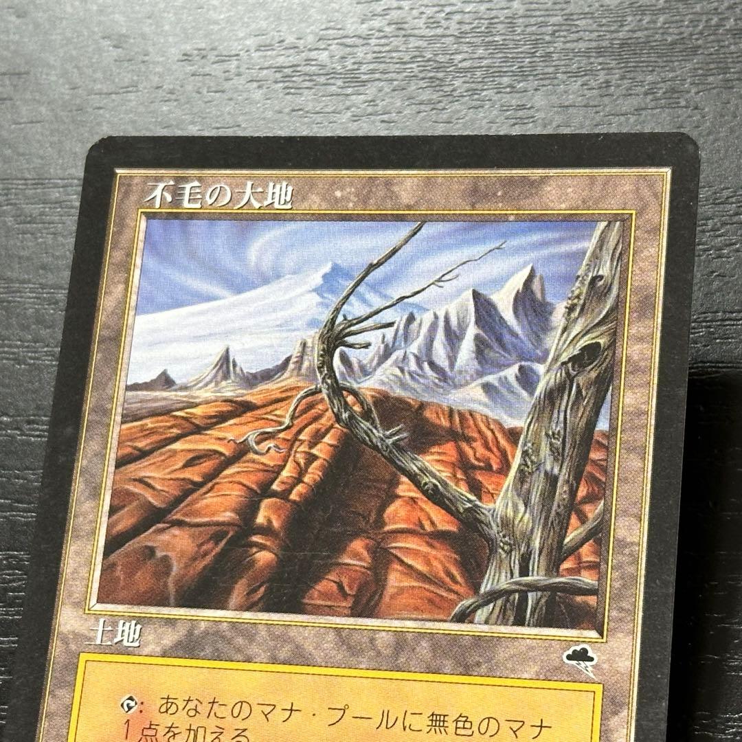 MTG 不毛の大地 日本語 初版 3枚