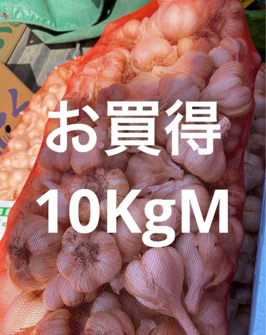 新物　青森県にんにく10Kg m