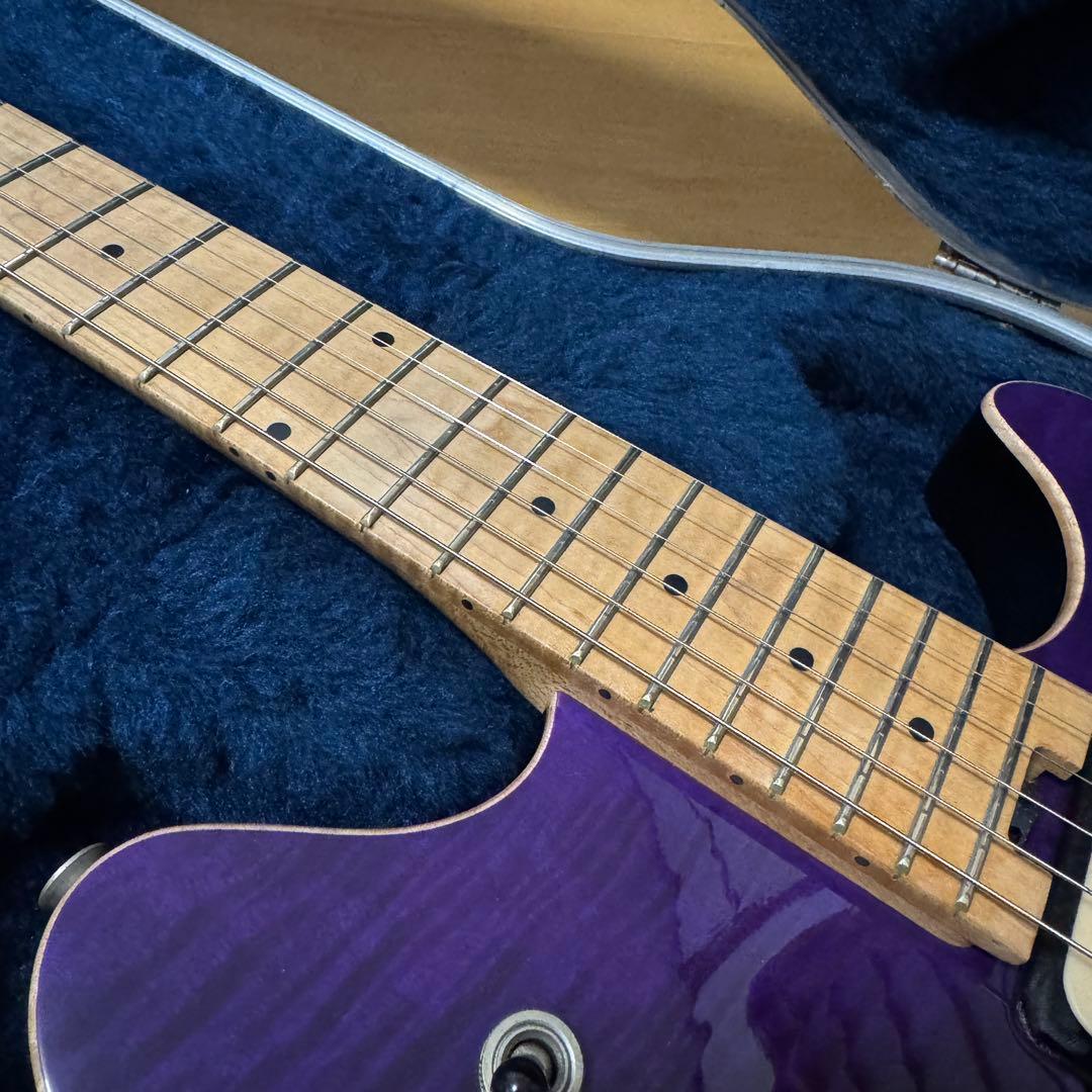 ギター Peavey USA Wolfgang Special Purple