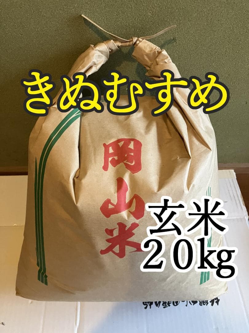 【農家直送】きぬむすめ玄米20kg 令和7年岡山県津山市産