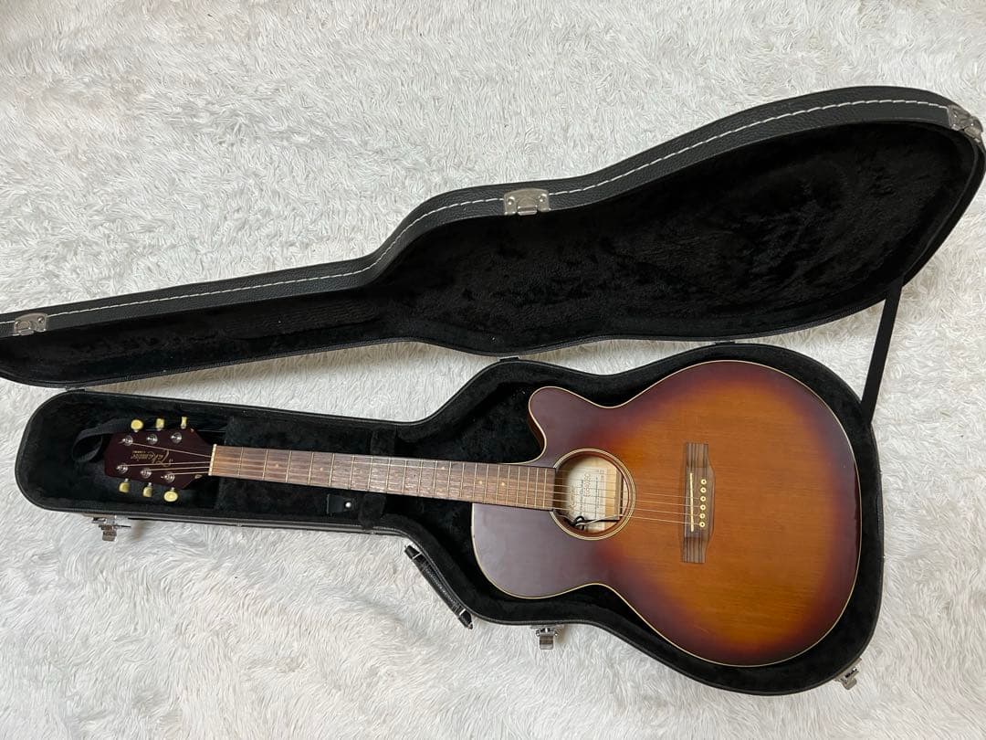 Takamine G Series エレアコ