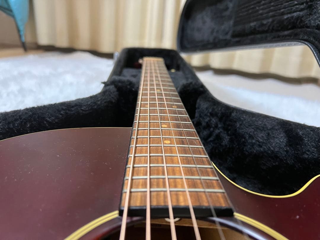 Takamine G Series エレアコ