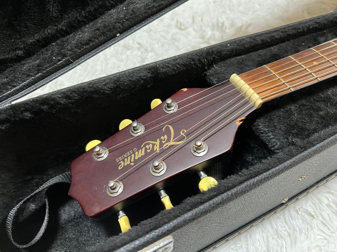 Takamine G Series エレアコ