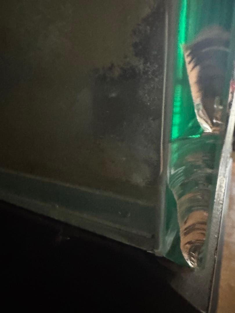 120センチガラス水槽