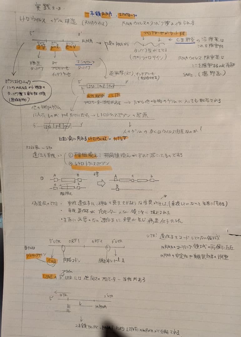 KALS　生命科学合格ノート　板書ノートコピー