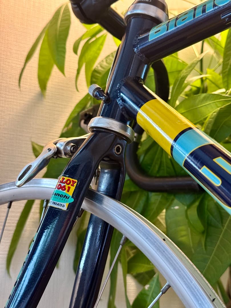 Bianchi ビアンキ Gold Race Special 53cm
