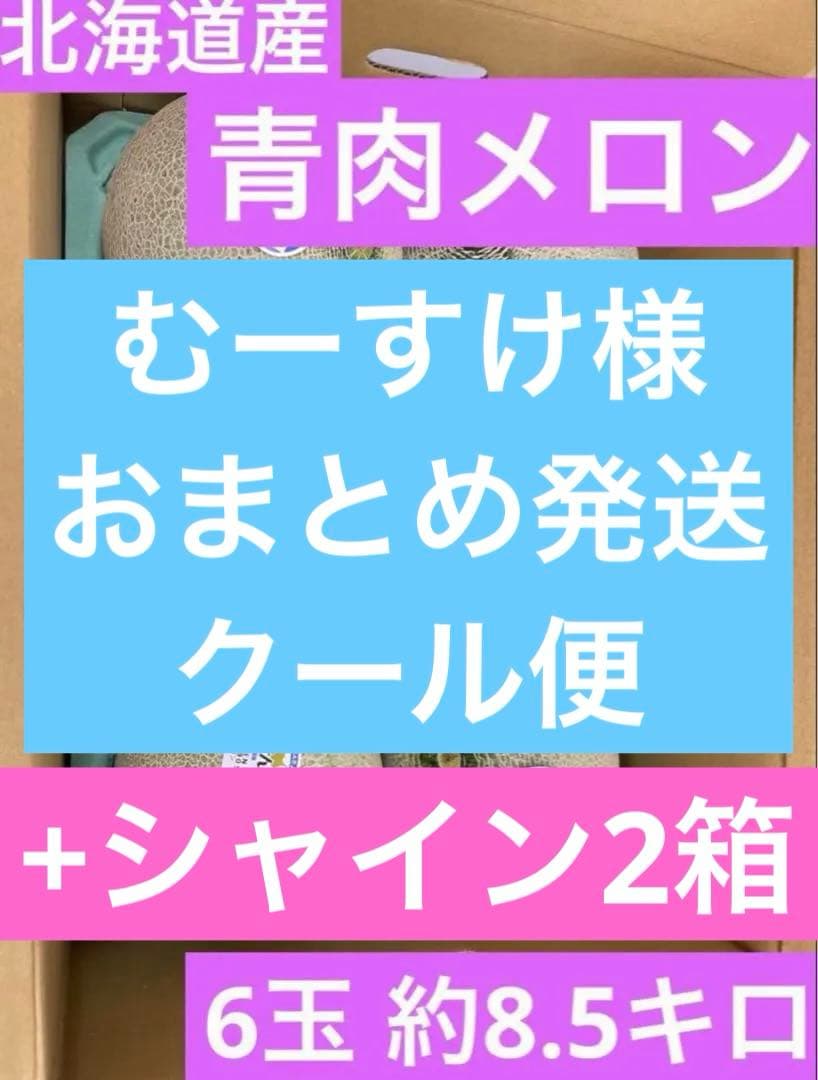 13【北海道産】青肉メロン （品種名：らいでんクラウン) 6玉　約8.5kg