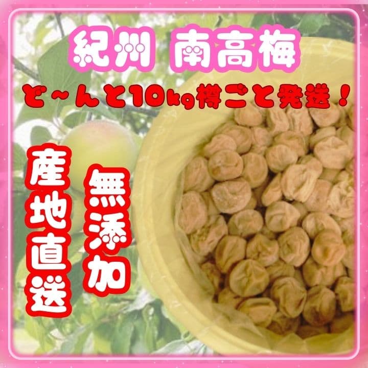価格高騰！農家直送！紀州南高梅 樽 10kg 無添加 和歌山 紀州 白梅