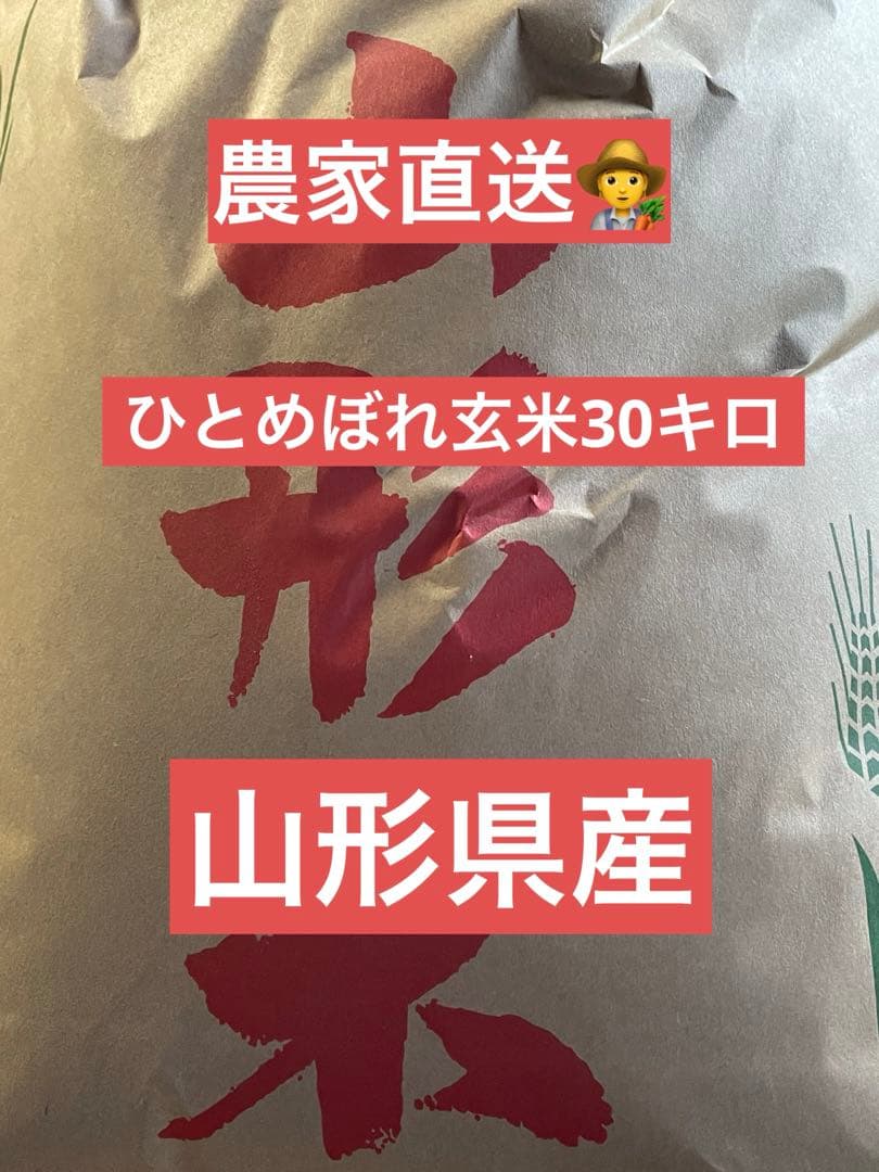 令和7年産ひとめぼれ玄米30キロ