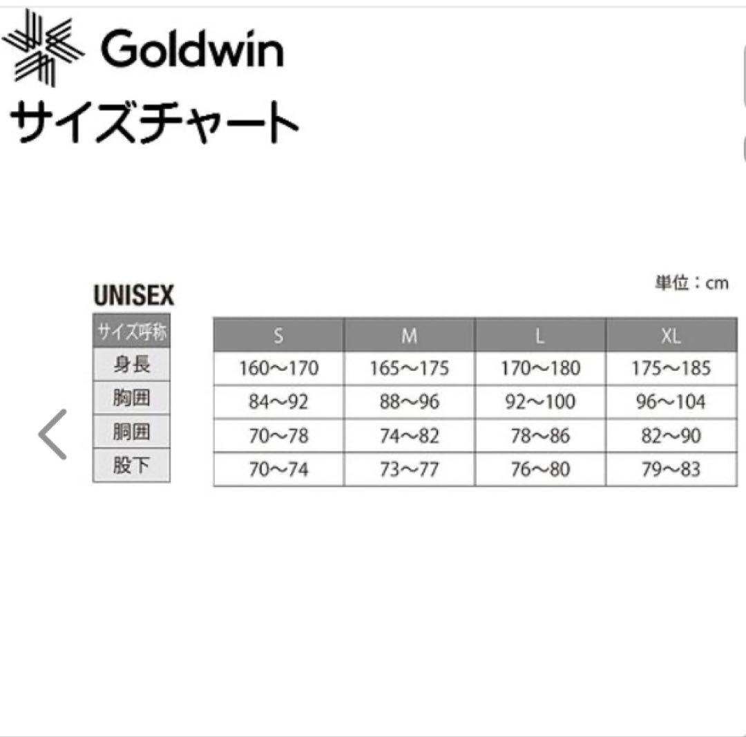 スキー Goldwin G-Solid Color Jacket G13301 LP
