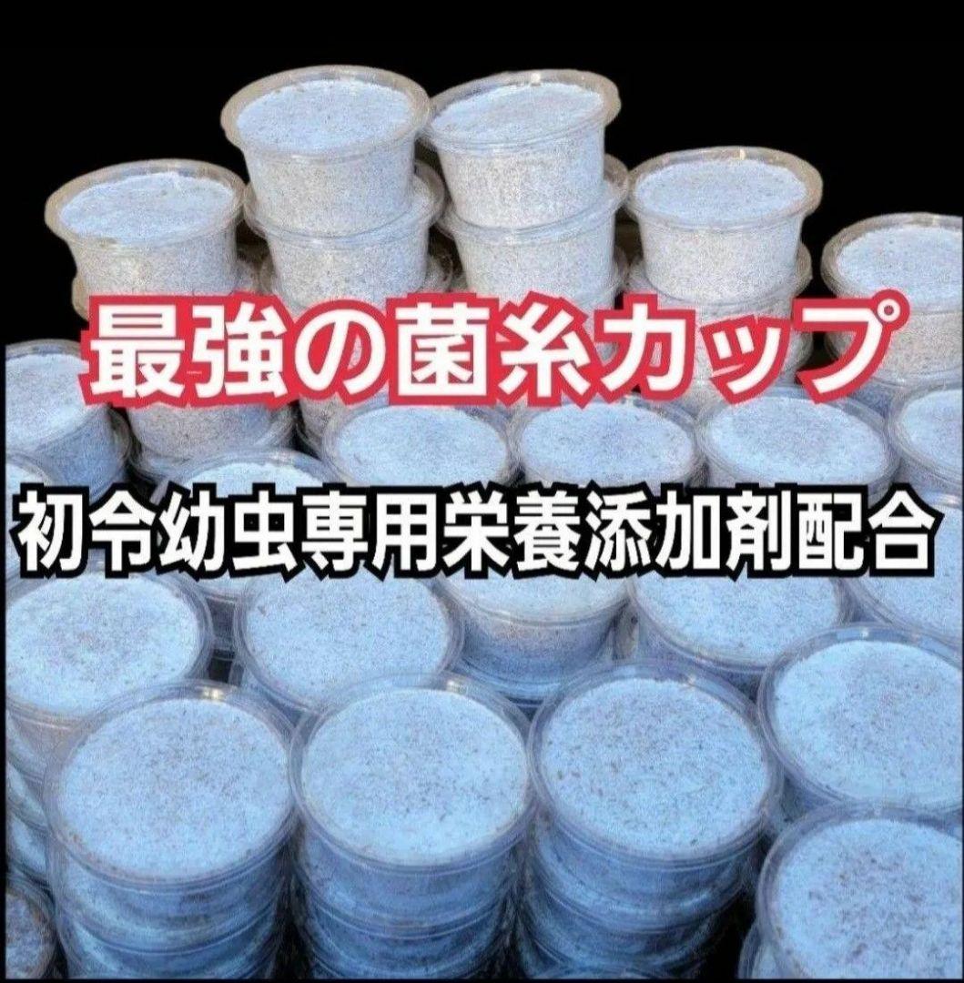 ヒマラヤひらたけ菌糸カップ【50個セット】初令、2令幼虫専用栄養添配合！