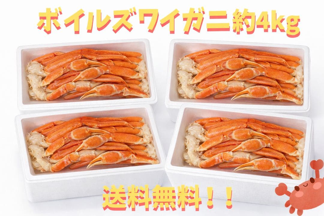 【大満足実入り抜群】本ズワイガニ4キロ！早い者勝ち!味良し！実入り良し！塩気良し