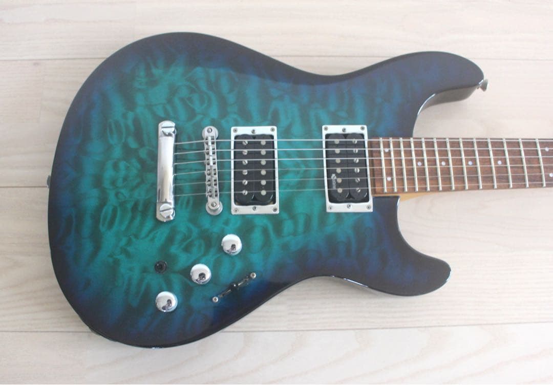 Fernandes フェルナンデス APG-65S サスティナー搭載