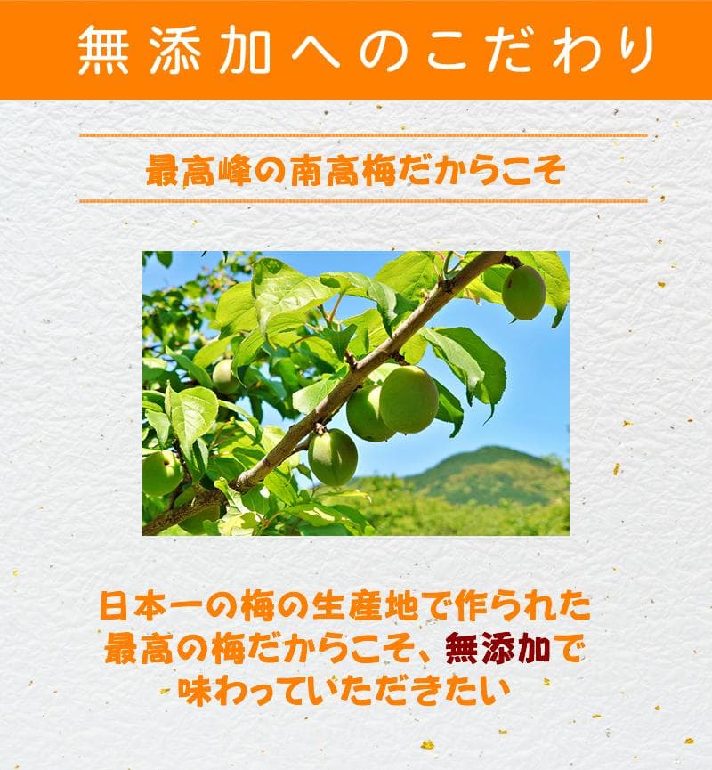 ぴろ【交渉OK】 つぶれはちみつ梅 無添加 700g入×7