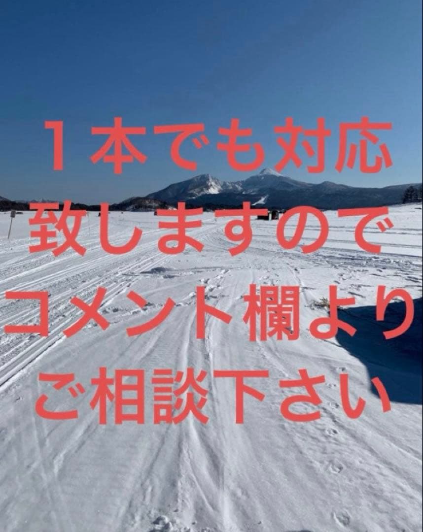 新作穂先　ワカサギステンレス穂先　２本３００ミリ