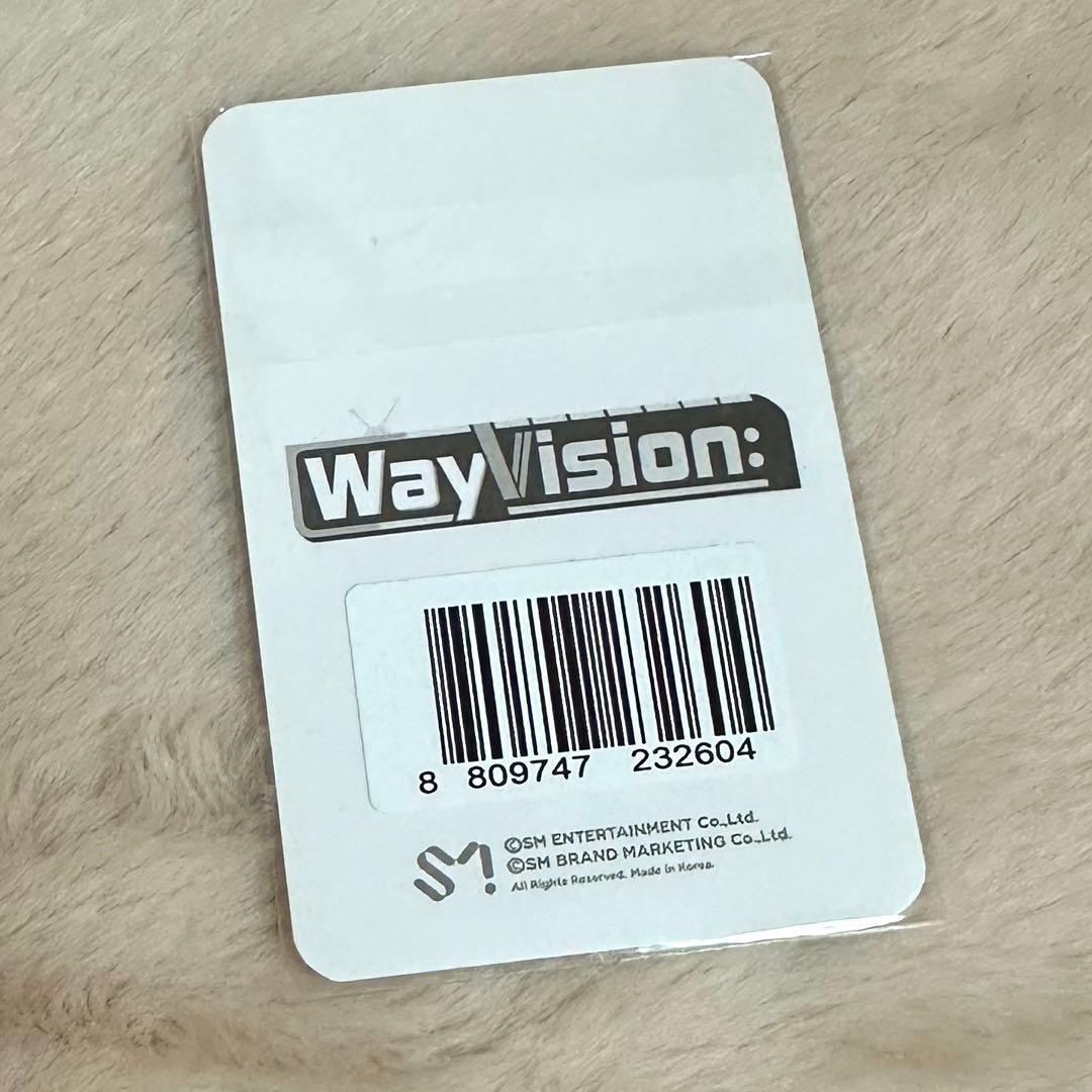 WayV 威神V wayvision sling bag テン トレカ