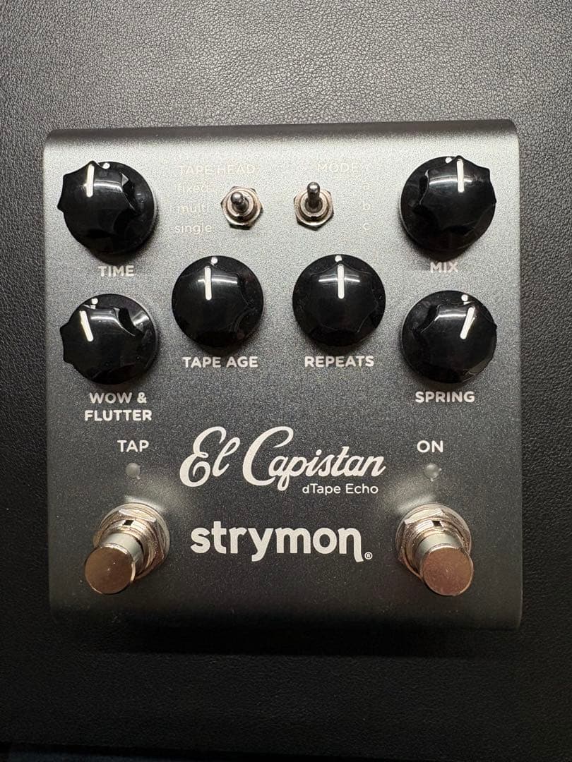 STRYMON El Capistan V2 2025年7月新品購入