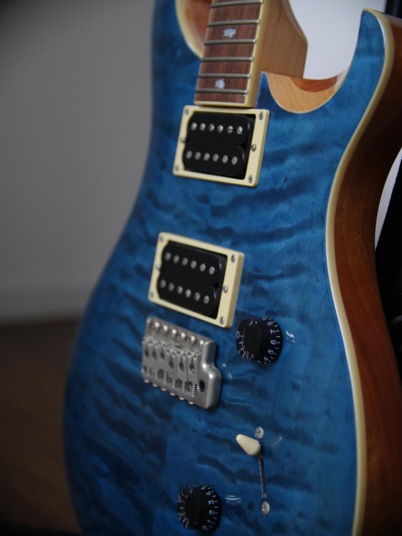 PRS SE Custom 24 セット ケース付