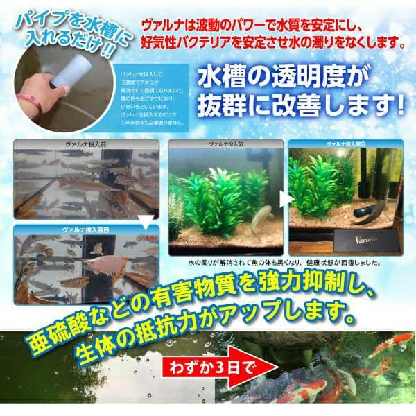 ヴァルナミニ　23センチ　水槽の透明度が抜群に！有害物質強力抑制！水替え不要に！