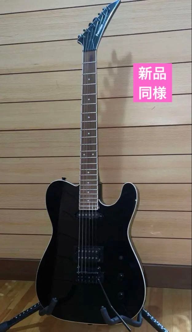 FERNANDES TEJ-STD-SH-19 エレキギター