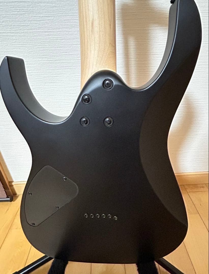 Ibanez RG421EX エレキギター