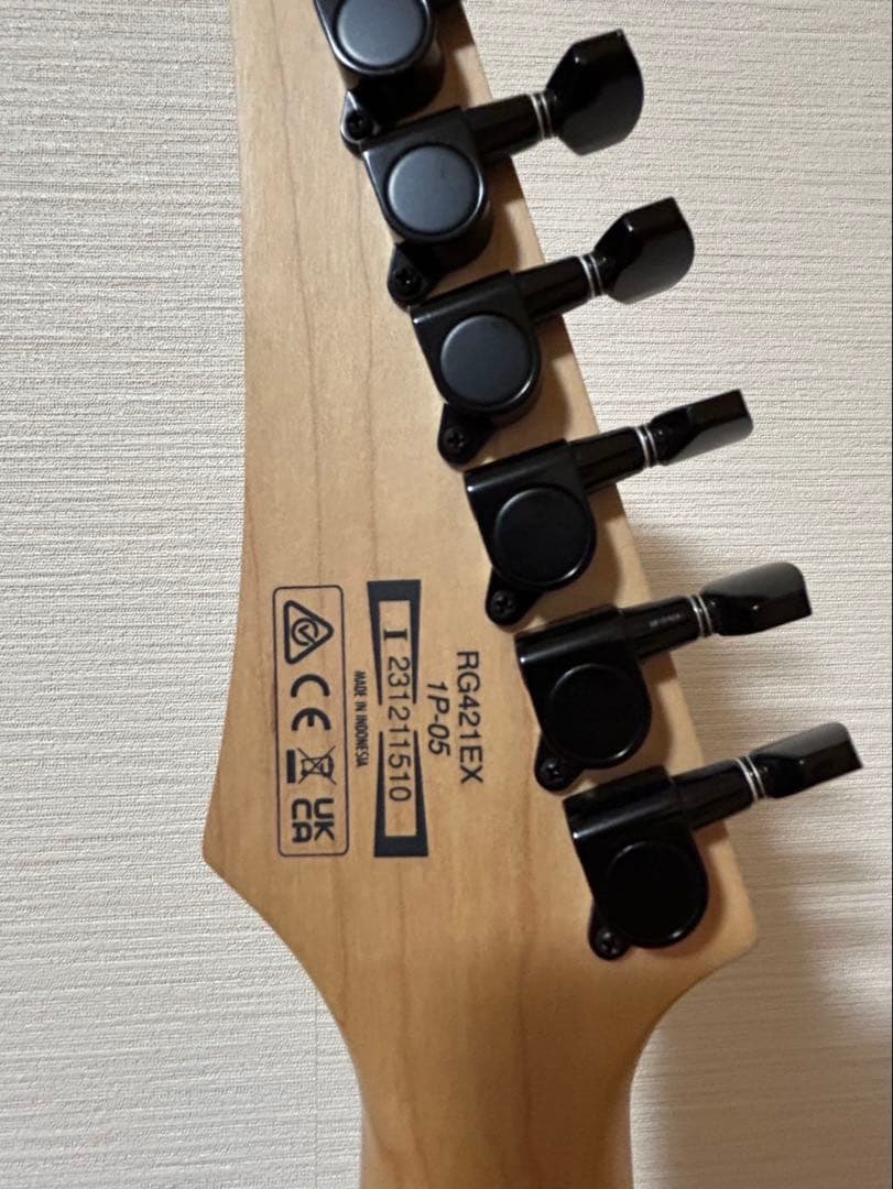 Ibanez RG421EX エレキギター