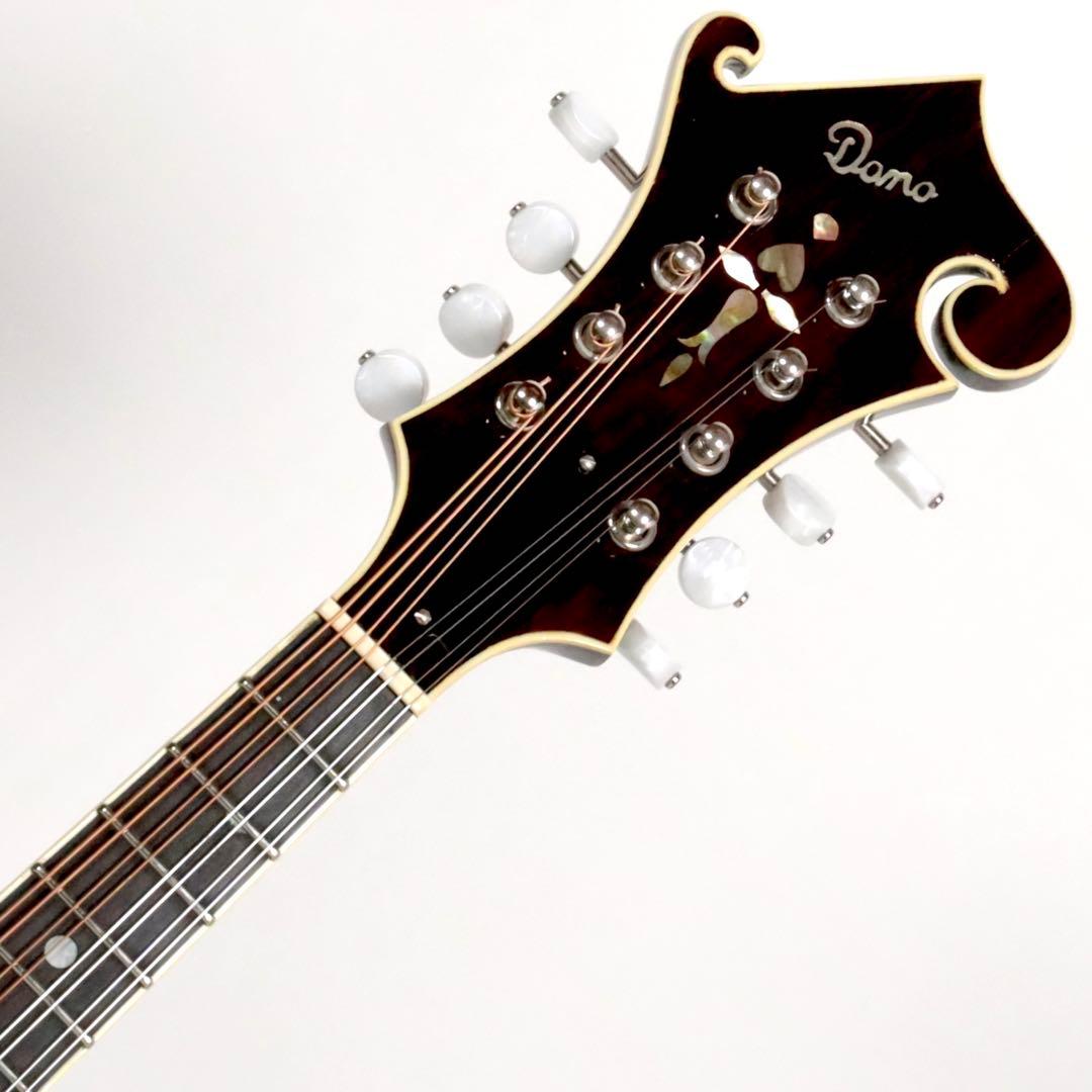 Dano Custom Mandolin F type フラットマンドリン