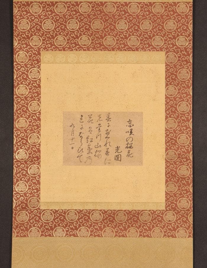 ♪新発見♪◆『徳川光圀』和歌「忘咲の桜花」掛軸 三つ葉葵紋 水戸光圀 水戸黄門◆