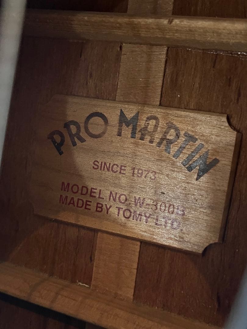 PRO MARTIN W-300Bアコースティックギターエレアコ仕様　ビンテージ