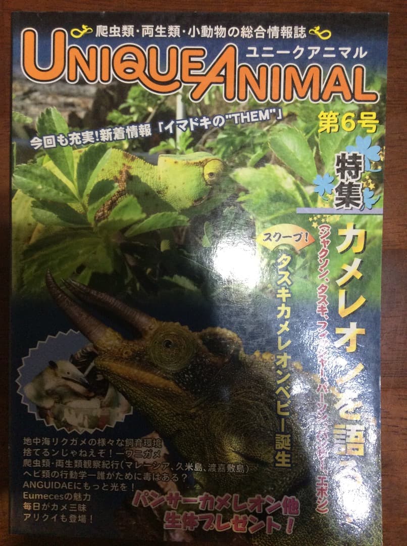 UNIQUE ANIMAL ユニークアニマル 創刊〜第8号 全8冊 東海メディア