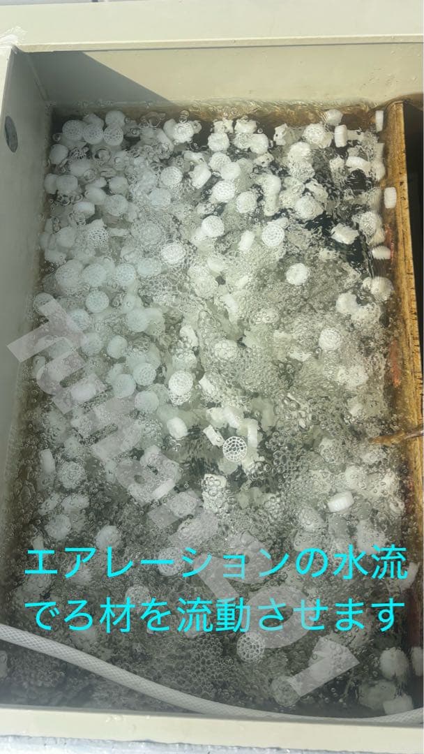 流動濾過材 MBBR ろ材 水質浄化 業務用50L 市場最安値 新品