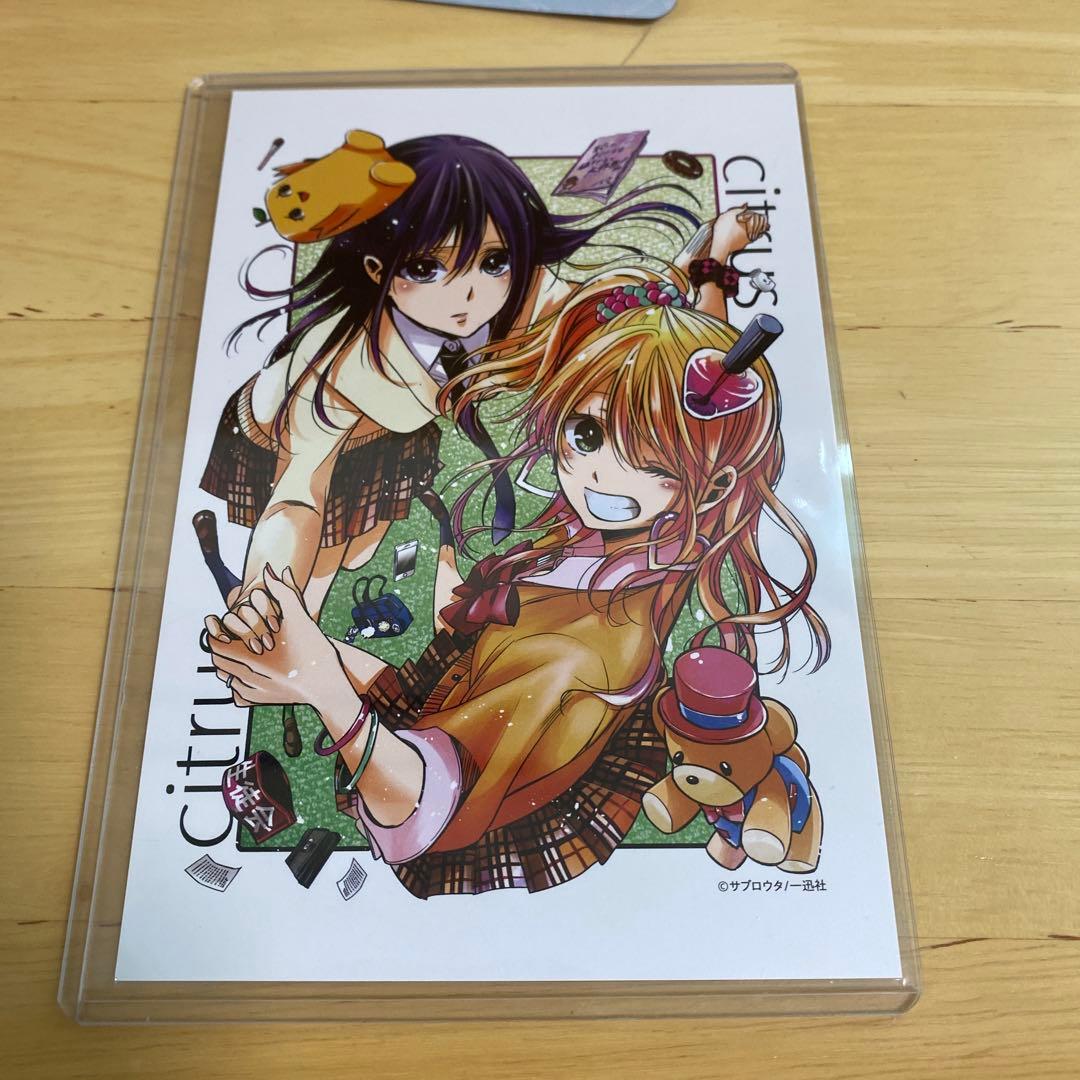 【新品】citrus 描き下ろし Tシャツ ポストカード サブロウタ 下敷き付き