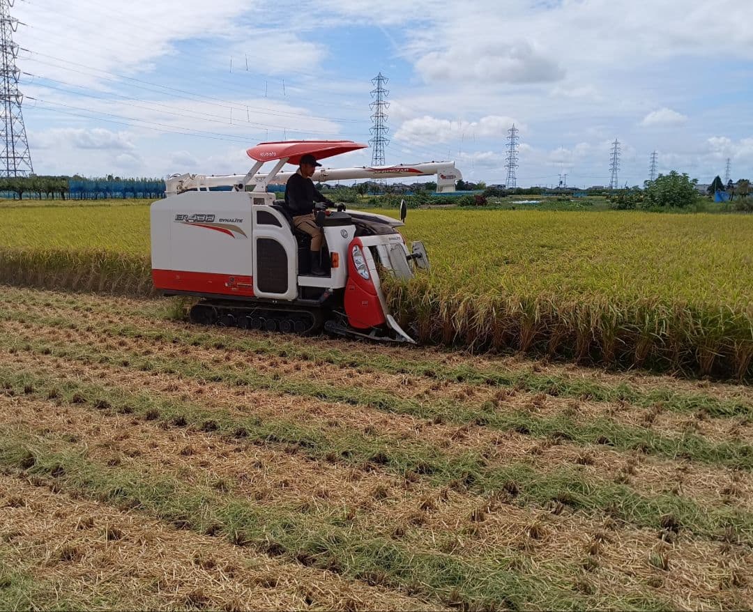 特別栽培米新潟県産コシヒカリ20k