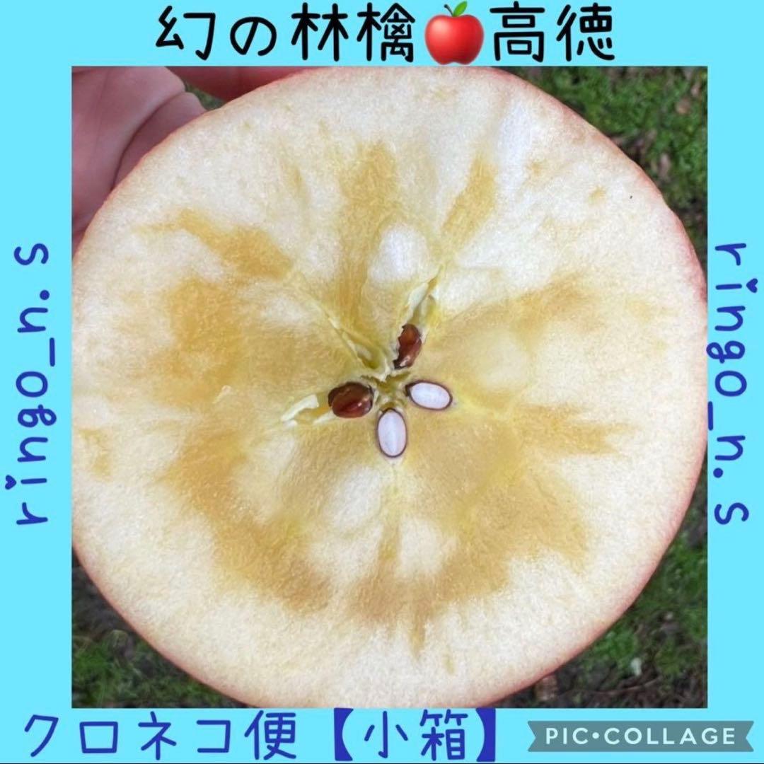 12/19発送 ◆特大箱◆ 幻の林檎　高徳　希少りんご　青森県産　クロネコ便