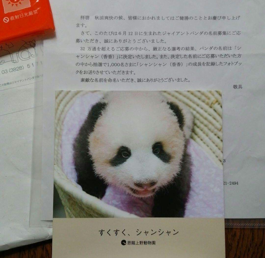 上野　動物園　パンダ　写真集　すくすく、シャンシャン　限定品 アルバム
