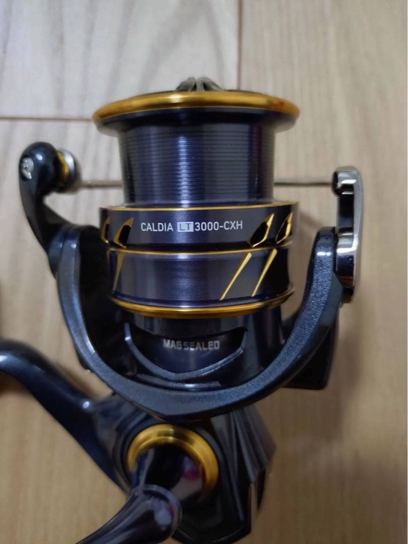 リール DAIWA 21CALDIA LT3000-CXH