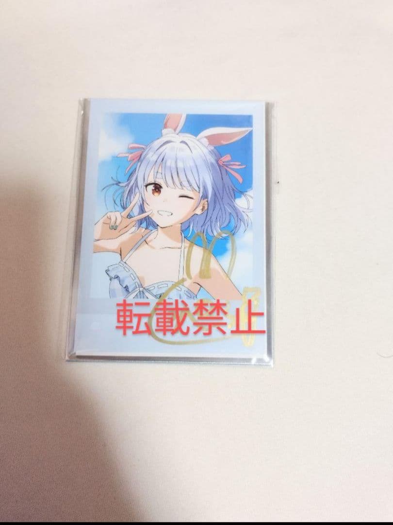 兎田ぺこら 活動5周年記念　ホロライブ　フルセット　数量限定 b