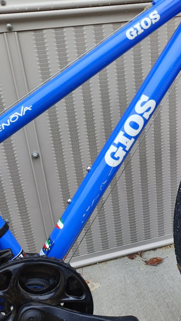 【直接引き渡し大阪市】GIOS GENOVA 22インチ