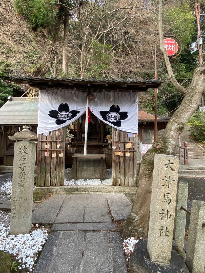 【勝運と馬の社】藤森神社、馬神神社、大馬神社、熊野本宮、往馬大社の御朱印セット