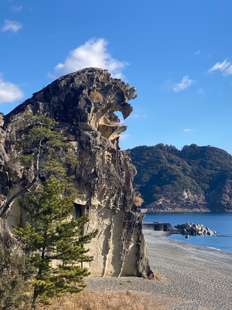 【勝運と馬の社】藤森神社、馬神神社、大馬神社、熊野本宮、往馬大社の御朱印セット