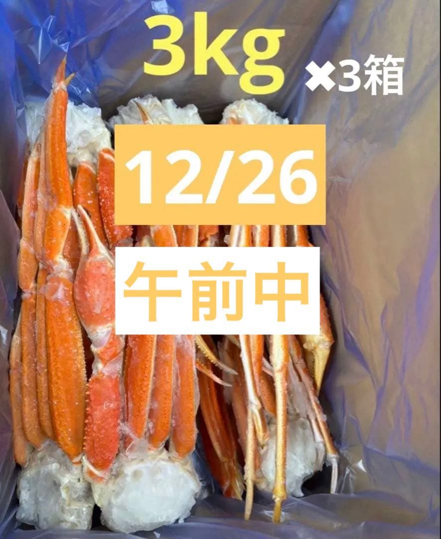 【12/26 午前中指定】3kg✖️3箱‼️レオ大好きっ子