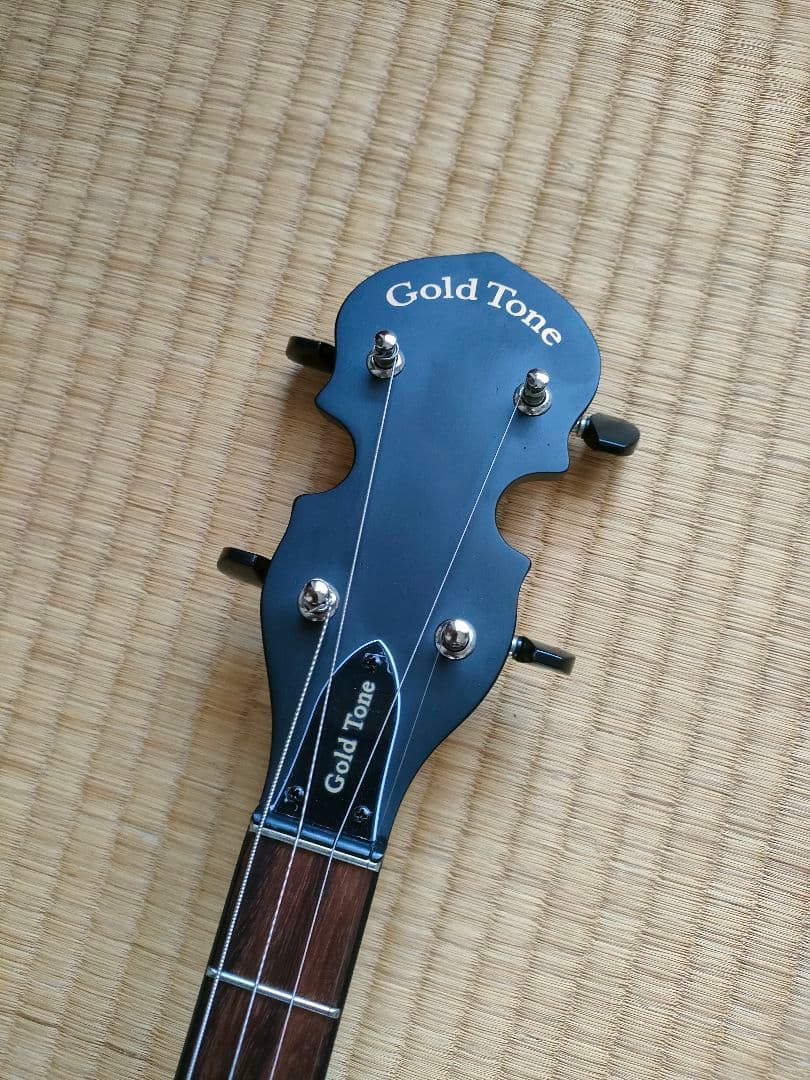 【美品】Gold Tone　AC-4IT　アイリッシュテナーバンジョー