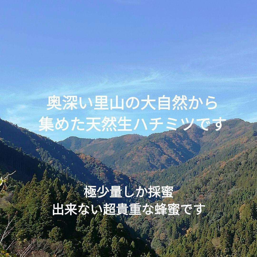 日本ミツバチ 日本蜜蜂　自然界2種類生ハチミツ400g2本　蜂蜜　はちみつ2年物