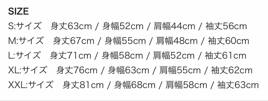 Hi-STANDARD パーカー XXL 黒