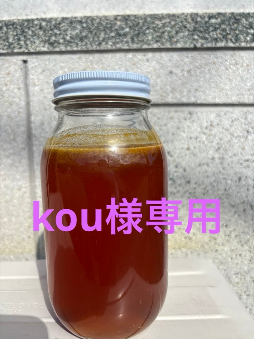 その他 kou
